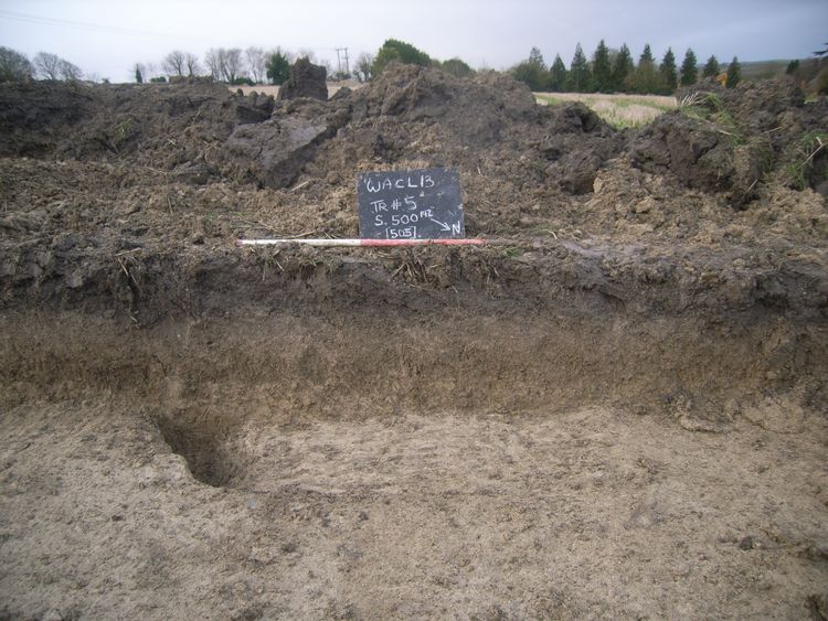 Images from an evaluation at Chain Hill, Wantage, Oxfordshire 2013 ...